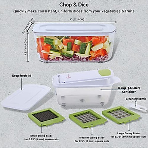 Brieftons QuickPush Food Chopper: Strongest & 200% More Container Capacity, 30% Heavier Duty, Fruit & Vegetable Chopper, Onion Chopper Vegetable Cutter, with 3 Dicer Blades & Keep-Fresh Lid, 5 Ebooks