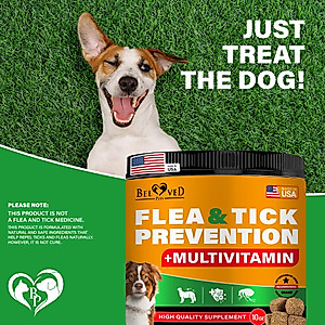 Flea and Tick Prevention Chewable Pills for Dogs - Revolution Oral Flea Treatment for Pets & Complex Multivitamin -Natural Pest Control & Defense Chews - Small Tablets Made in USA (10 Oz)