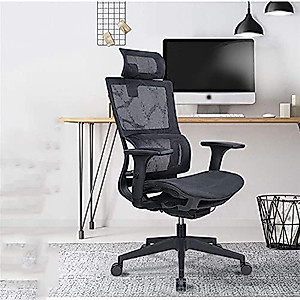 RILOOP Office Chair Chair Ergonomic, Computer Chair Adjustable Seat Height with Back Support and Arms, Desk Chair Comfy, Study Chair for Home, Office and Executive