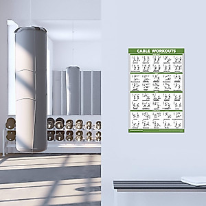 Palace Learning 3 Pack - Dumbbell Workouts + Barbell Exercises + Cable Machine Workouts - Set of 3 Workout Charts (LAMINATED, 18” x 24”)