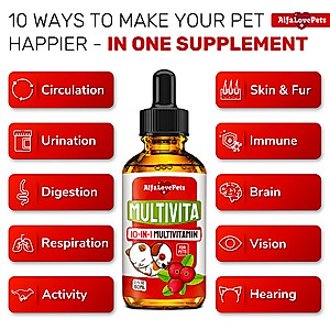 Сat Vitamins for Indoor Cats in Drops – Liquid Multivitamin for Dogs – Dog Multivitamin Liquid Supplement – Cat Multivitamin – Multivitamin for Dogs – Vitamin C for Cats – 2 oz