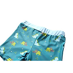 Baby Toddler Boys Two Pieces Swimsuit Set Swimwear Dinosaur Bathing Suit Rash Guards with Hat UPF 50+ (Navy, 9-18 Months(Height:29"-33"/73-85cm))