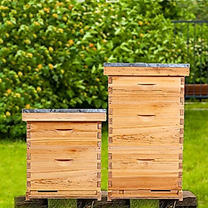 POLLIBEE 10 Frame Beehive Starter Kit, Beeswax Coated Bee Hives Includes 1 Deep Bee Boxes and 1 Bee Hive Super with Beehive Frames and Beeswax Foundation