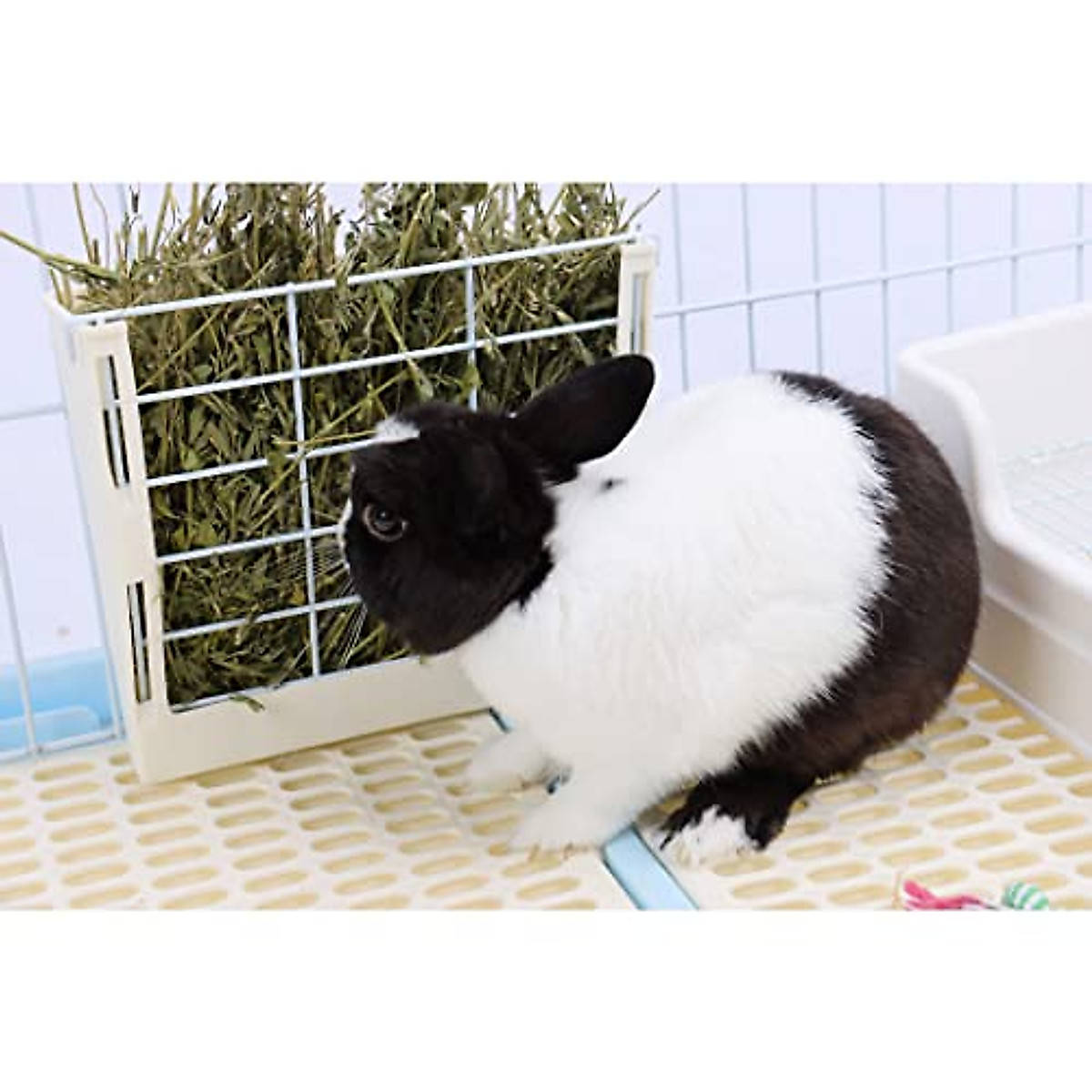 RUBYHOME Hay Feeder for Rabbits, Guinea Pigs, and Chinchillas - Minimize Waste and Mess with 9 1/4" x 3 3/4" x 8" Hanging Alfalfa and Timothy Hay Dispenser (White)