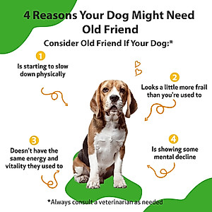 Pet Wellbeing Old Friend for Senior Dogs - Vet-Formulated - Aging Immune System & Joint Mobility Support in Older Canines - Natural Herbal Supplement 2 oz (59 ml)