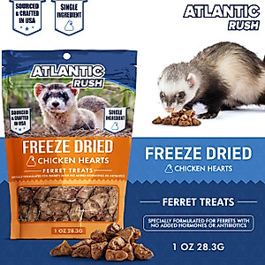 Freeze Dried Small Pet Treats - 1oz Resealable Bag of Treats for Ferrets - Ferret Snacks - Single Ingredient Ferret Food With No Preservatives Or Fillers- Small Animals Treats (1 oz, Chicken Heart)