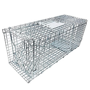 Large Collapsible Humane Live Animal Cage Trap No-Kill Trapping Kit for Humane Catch Release Rabbits, Stray Cat, Squirrel, Raccoon, Other Fit Sized Animals, Heavy Duty, 2-Door -31" x 11.5" x 12.5"