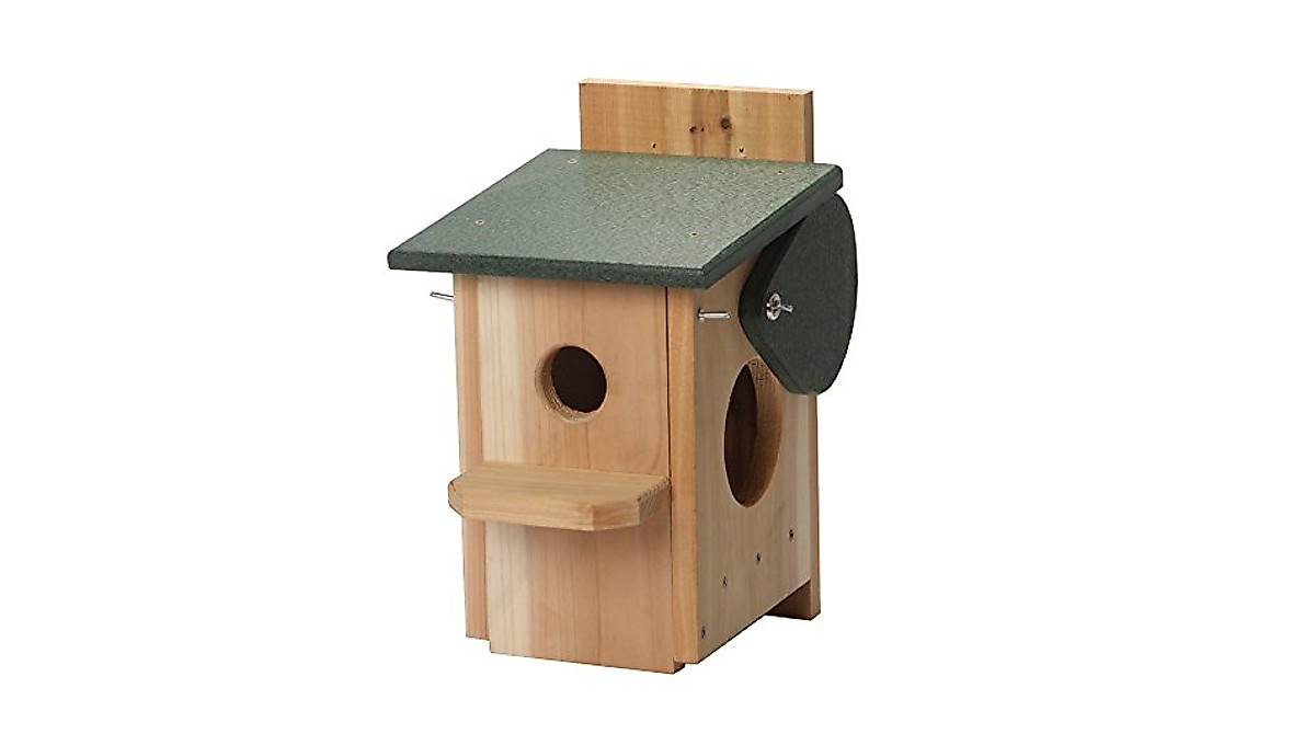 Effective Bird Trap for Sparrows and Starlings | Ravenox Eliminator