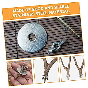 1 Set Platform Hamster Gaskets Kit to Retaining Connecting of Screws Perch Nuts Parts Animal with Fitting Screw Accessories Springboard and Small Fixing Bird for Stand Accessory