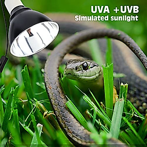 Reptile Light Fixture, 5.5inch Reptile Heat Lamp, Reptile Deep Dome Reflector Cover with Switch Lamp Aquarium Tank Heating Lamps, for E26 Basking Heat Bulb UVB UVA Bulb