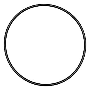 87300400 Body Filter O-Ring for Clean & Clear Predator Warrior R&S 447 Sta-Rite U9-389 Pool Filter Tank System (Set of 1)
