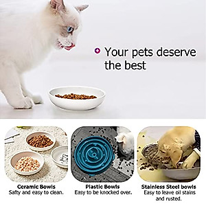 Y YHY Cat Bowls, Cat Dishes 5OZ Cat Food and Water Bowls for Dry and Wet Food 3 Set Wide Dish White Cat Bowl for Indoor Cat, Dog, Kitten, Puppy, Rabbit