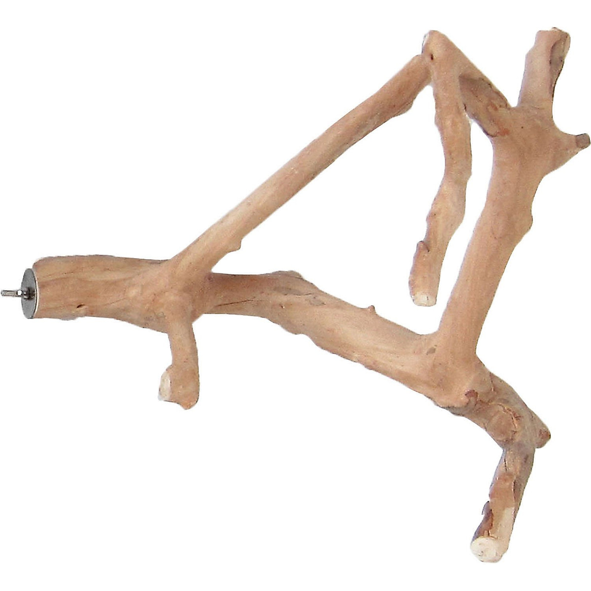 A&E Cage Co. Java Wood Multi Branch Perch - Small - 16 in. x 1.2 in.