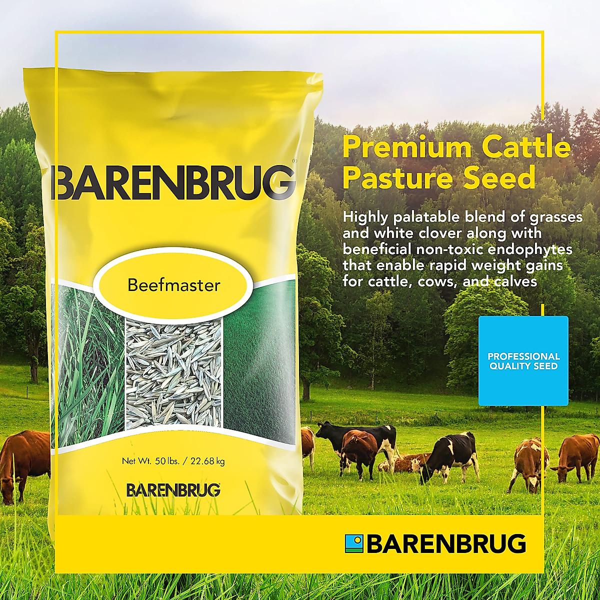 Barenbrug Beefmaster Premium Cattle Pasture Grass and Forage Seed Mix, 25 lbs. (25 LB Bag)