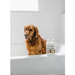 Martha Stewart for Pets All-Purpose Conditioner for Dogs with Oatmeal and Aloe | Oatmeal Dog Conditioner is Naturally Moisturizing, Soothing, and Nourishing for All Dogs | 16 Ounces