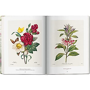 Redouté: The Book of Flowers / Das Buch de Blumen / Le livre des fleurs