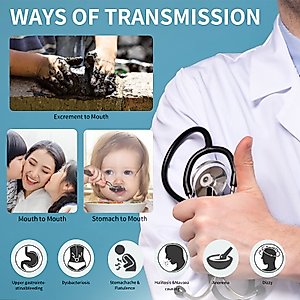 Kueysing Helicobacter Pylori 2 Test Kits, H. Pylori，h. Pylori 10-15 Minutes of Quick Home Testing, The Result is Highly Accurate, Easy to Read and use