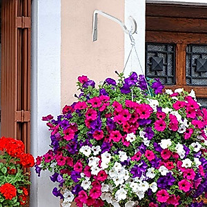 6 inch Plant Hanger Wall Hooks for Hanging Bracket Lanterns Coats Heavy-Duty Metal Hooks for Plant Hangers Flower Basket Lights and Artworks Home Decor Indoor & Outdoor 2 Pack Screws Included