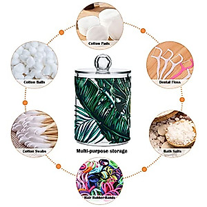 2 Pack Qtip Holder Dispenser for Cotton Ball Palm Tree Tropical Jungle Leaf Cotton Swab Cotton Round Pads Clear Plastic Acrylic Jar Set Bathroom Canister