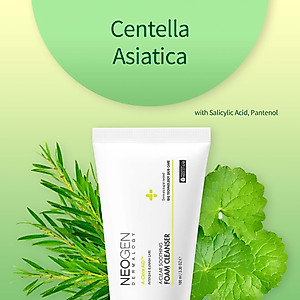 DERMALOGY by NEOGENLAB A-Clear Soothing Foam Cleanser 3.38 oz (100ml) - Clogged Pores & Sebum Cleansing Foam for Acne-Prone Skin with Salicylic Acid, Tea Tree, Centella Asiatica - Korean Skin Care