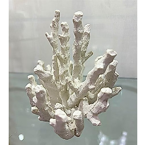 Abbott Collection 20-SEASHORE/40 Large White Flower Coral Decorative Resin Figurine