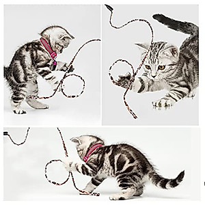 Molain Cat Wand Rainbow Toy, 5pcs Rainbow Ribbon Wand for Kittens Training Rainbow Ribbon Interactive Catcher Wand Stick Toy for Kitten Cat Indoor Exerciser Playing(30cm, Leopard Print)