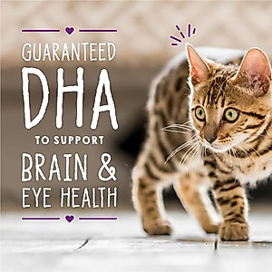 Stella & Chewy’s Carnivore Cravings Purrfect Pate Cans – Grain Free, Protein Rich Wet Cat Food – Cage-Free Chicken & Salmon Kitten Recipe – (2.8 Ounce Cans, Case of 24)