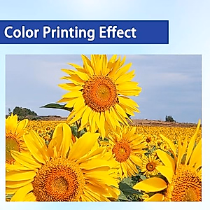 206A Toner Cartridges Compatible for Hp W2110A W2111A W2113A W2112A High Yield Toner Cartridges with Chip Work for M255DW M255NW M282NW M283CDW M283FDW Printer Cyan