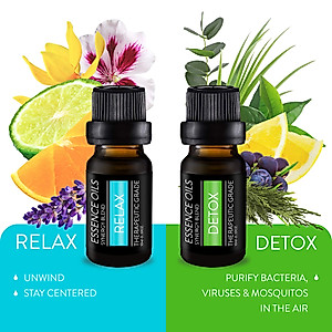 Pure Daily Care Aromatherapy Top 10 Essential Oil Synergy Blend Set – Therapeutic Grade Synergy Oil Blends – Uplift Mind, Body and Spirit – 10 x 10 Ml Blends – No Fillers & No Additives