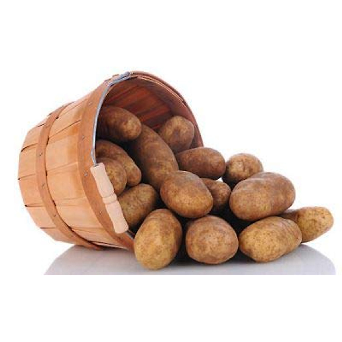 Simply Seed™ - Russet Burbanks - Naturally Grown Seed Potatoes - 5 LBS - Ready for Spring Planting !