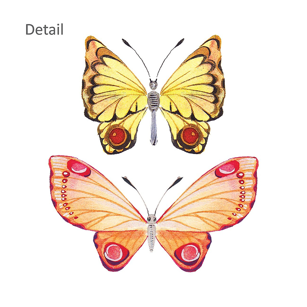 DECOWALL DS-8022 Watercolour Butterflies Kids Wall Stickers Wall Decals Peel and Stick Removable Wall Stickers for Kids Nursery Bedroom Living Room (Small) d?cor