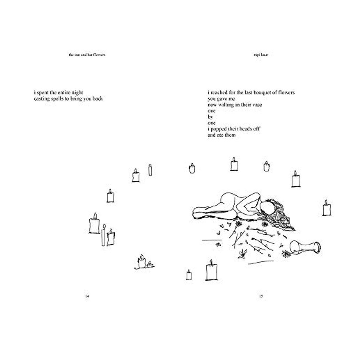 The Sun and Her Flowers