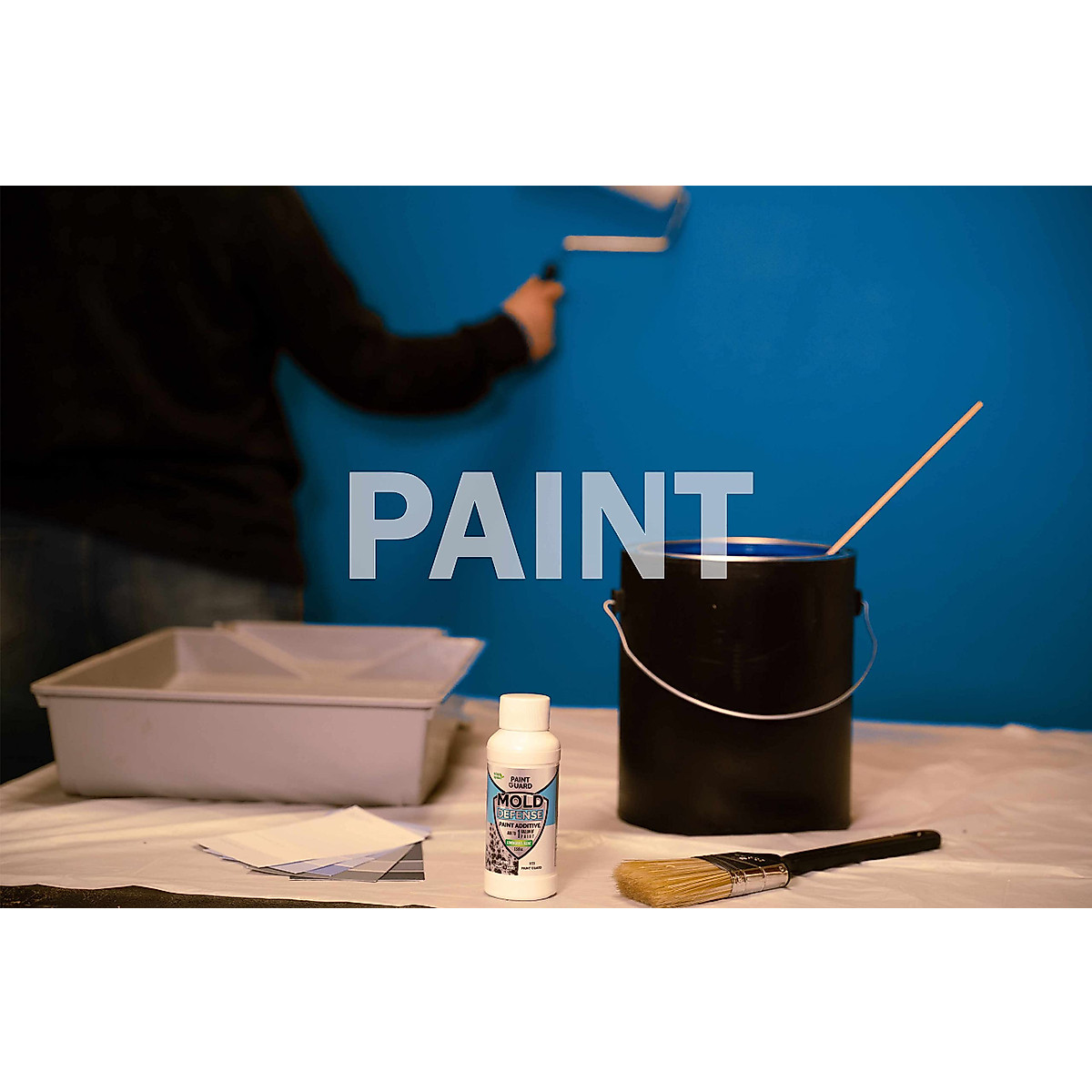 Paint-Guard Mold and Mildew Defense Paint Additive (1 Gallon Treatment)