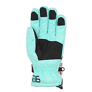 Arctix Women's Insulated Downhill Gloves, Island Azure, Large