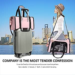ROSEBB Cat Carrier Dog Carrier Pet Carrier Cat Bags for Small Medium Cats Dogs Puppies of 15 Lbs,of Airline Approved Small Dog Bag Soft Sided,Collapsible Travel Puppy Carrier (Medium, Pink)