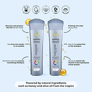 Naissant Icy Cool Blonde Hair Purple Toning Mask | Eliminates Brassiness | Neutralizes Yellow & Orange Tones | Paraben,Ammonia & Sulfate Free | Pro-Vitamin B5, Olive Oil & Honey (Cana Silver) 10.1FlOz