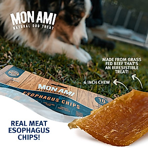 Mon Ami Beef Esophagus Dog Treats (12 inch, 20 Count) –Gullet Treats for Dogs Made from Grass Fed Beef with Glucosamine & Chondroitin – Natural Dog Treats, Grain Free & High Protein Dog Chews