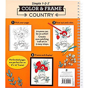 Color & Frame - Country (Adult Coloring Book)