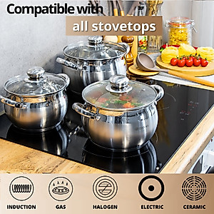 Daniks Classic Stainless Steel Kitchen Induction Pot Cookware Set | 6-Piece | Dishwasher Safe Pots with Lid | 2 Quart + 3 Quart + 4 Quart | Measuring Scale | Silver