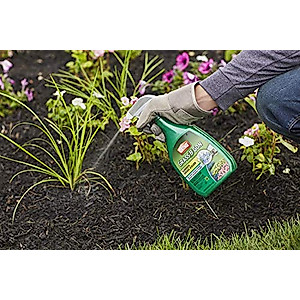 Ortho 0438580 Grass B Gon Garden Grass Killer Ready-to-Use, 24-Ounce (3)