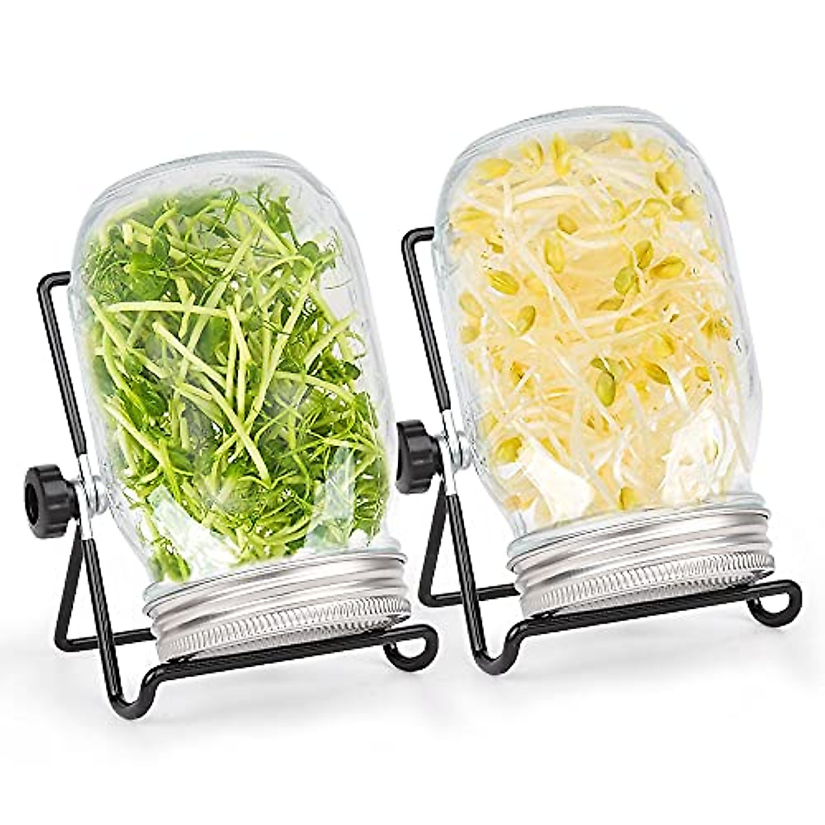 Seeds Sprouting Kit, 2-Pack Mason Jar Germination Growing Kit with Stainless Steel Mesh Lids and Stands, Wide Mouth Jars Germinator, Indoor Seed Sprouter Set for Broccoli Beans Microgreens Sprouts