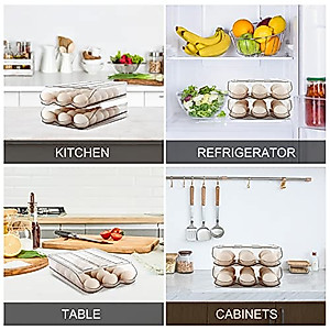 MesRosa Egg Holder , Automatically Rolling Egg Storage Container for Refrigerator,Large Capacity Organizer for Fridge with Lid,Clear Plastic Egg Dispenser, Tray & Bin -2 Layer