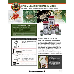 25,000 Predatory Mite Blend