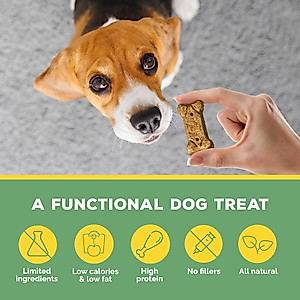 Brutus Bone Broth Biscuits (Chicken) - Healthy Dog Treats - Natural Dog Biscuits with Dog Bone Broth and Real Chicken Meat - 18 Grams of Protein - 8 OZ (Pack of 2)