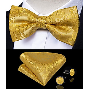 DiBanGu Gold Suspenders for Men Heavy Duty Yellow Suspenders and Bow Tie Set Adjustable Y-Back Mens Trouser Braces