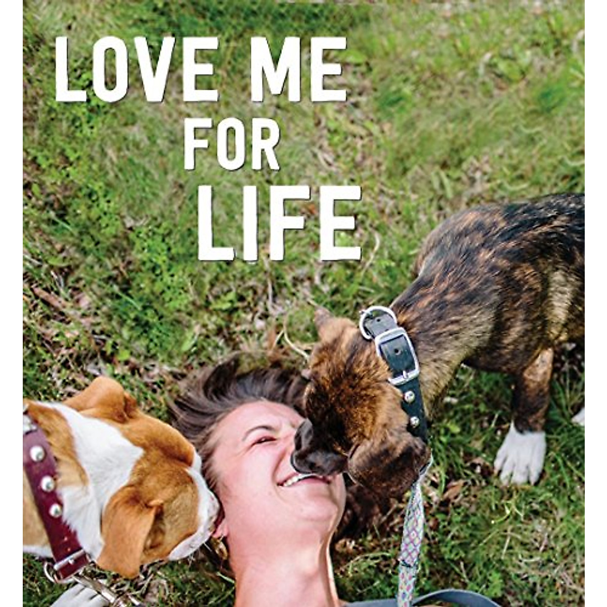 I and love and you Good Golly Beef Gullet Sticks - Grain Free Dog Chews, 100% Beef Gullet, 48 Pack of 6-Inch Sticks