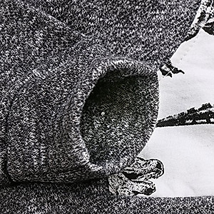 Toddler Infant Baby Boy Girls Clothes Hoodie Fall Winter Sweatsuit Pants Gender Neutral Long Sleeve Outfit Set(2-3 Years, Dinosaur)