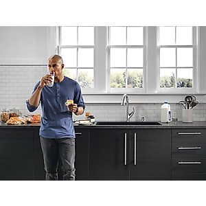 Peerless P7935LF Parkwood Single Handle Pulldown Kitchen Faucet Pull-Down, Chrome