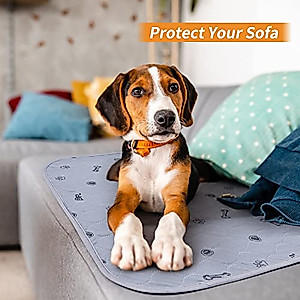 Washable Pee Pads for Dogs, 2Pack Reusable Puppy Pads, Absorbent Whelping Pads with Bone Print, Non-Slip Waterproof Pet Training Pads for Couch, Crate, Potty Training -18x24