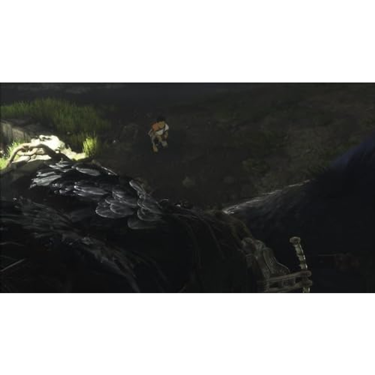 The Last Guardian - PlayStation 4